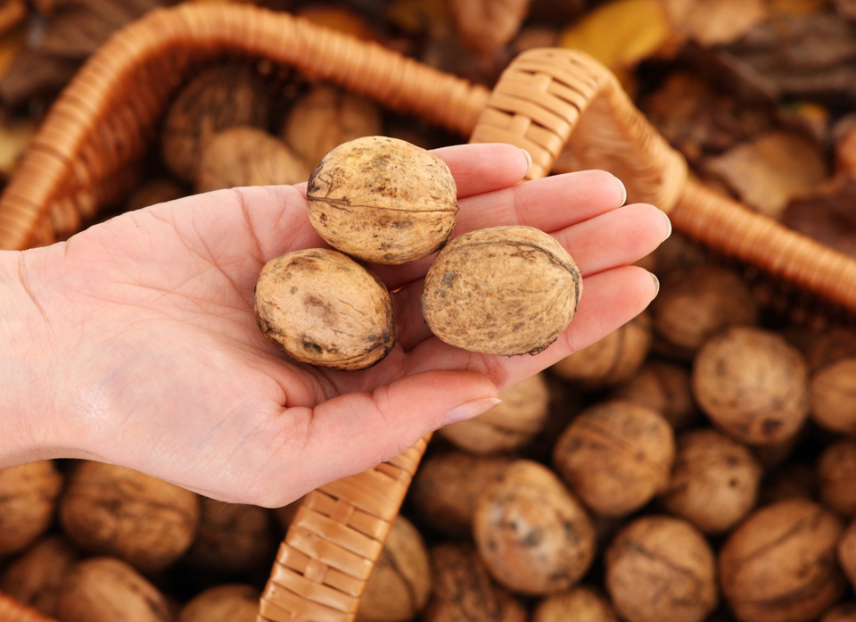 Cheville enflée : causes, prévention, traitement | Santé Magazine