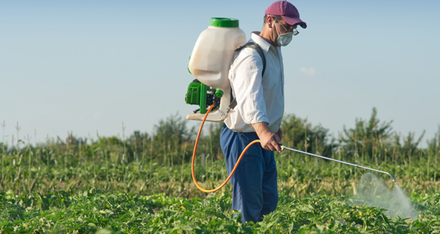 Insecticides : les Français plus exposés que les Américains et les ...