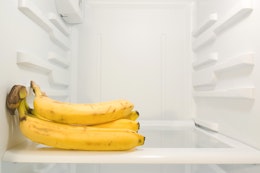 Acceleration Requirements Recreation Frigo Banane Buyer Diversity Mitt