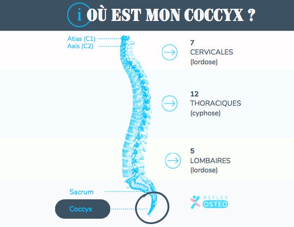 Douleur au coccyx : symptômes, causes, qui consulter, prise en charge ... Douleur au coccyx : symptômes, causes, qui consulter, prise en charge ...