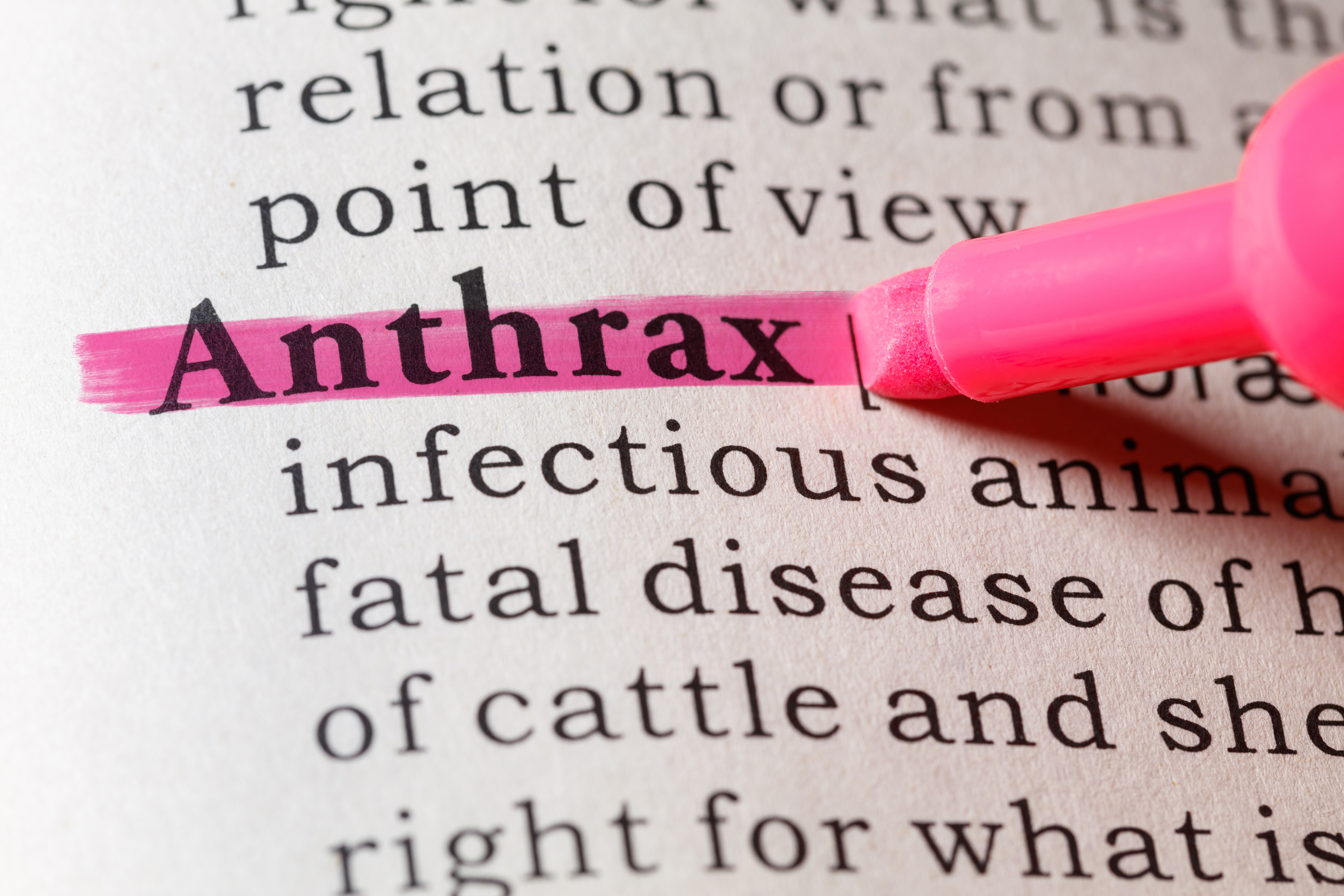 Anthrax cutané : causes, symptômes et traitements | Santé Magazine