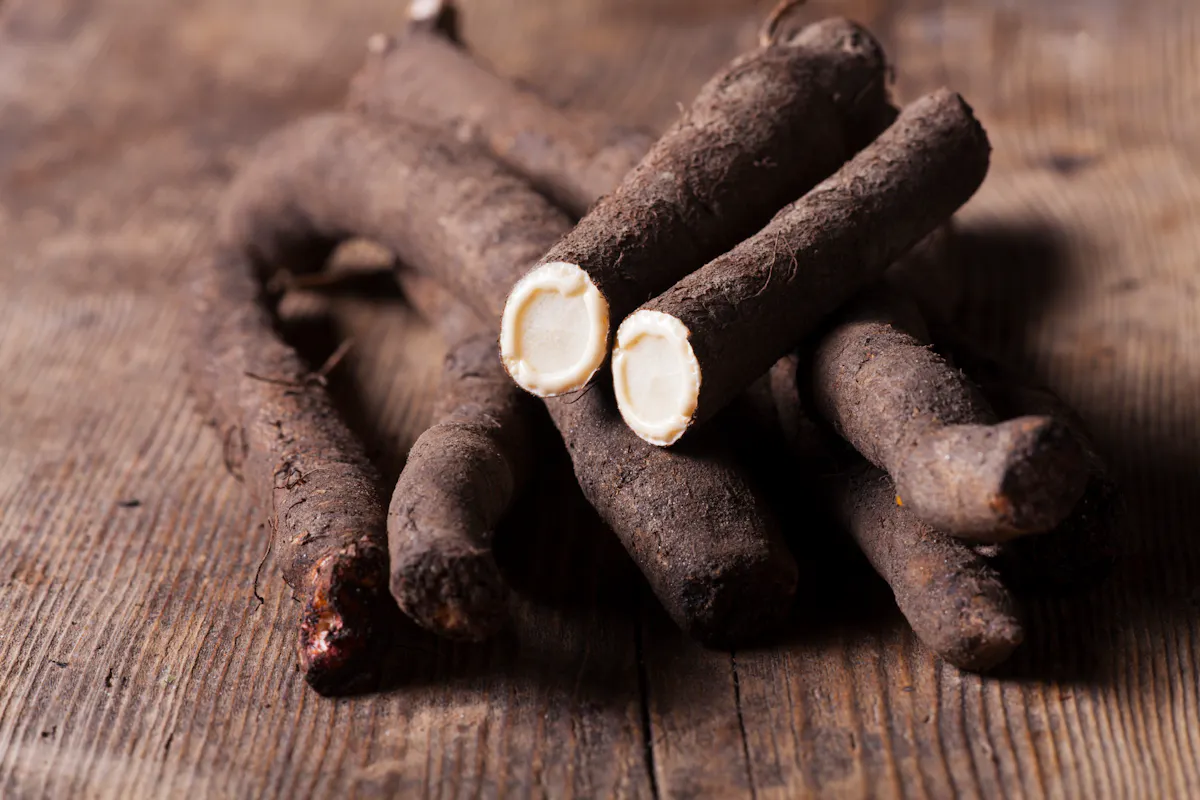 Salsifis : bienfaits santé, cuisson, recettes | Santé Magazine