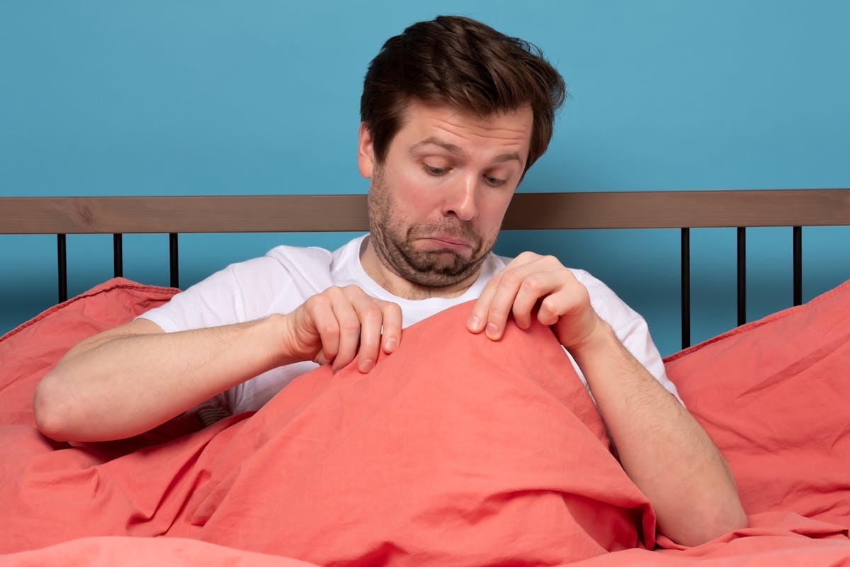 Os Pénien Nos Ancêtres Avaient Bien Un Os Dans Le Pénis Pourquoi A T