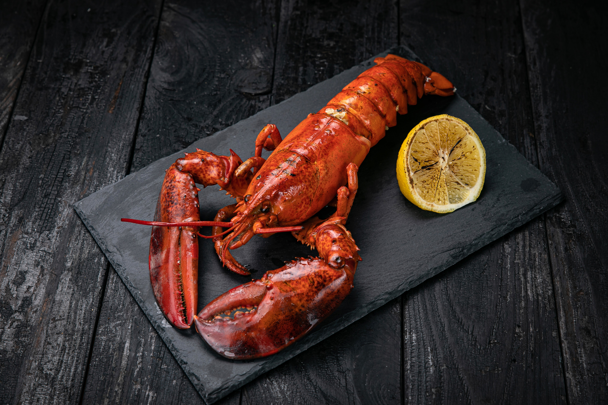 Homard, tous les bienfaits santé de ce crustacé à pinces | Santé Magazine