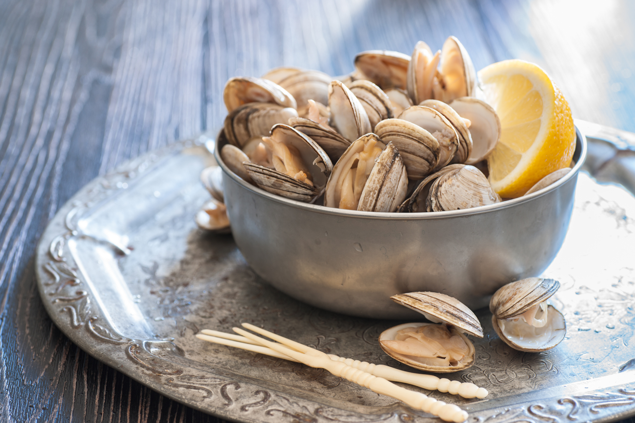 La palourde : bienfaits santé, la préparer, recettes | Santé Magazine