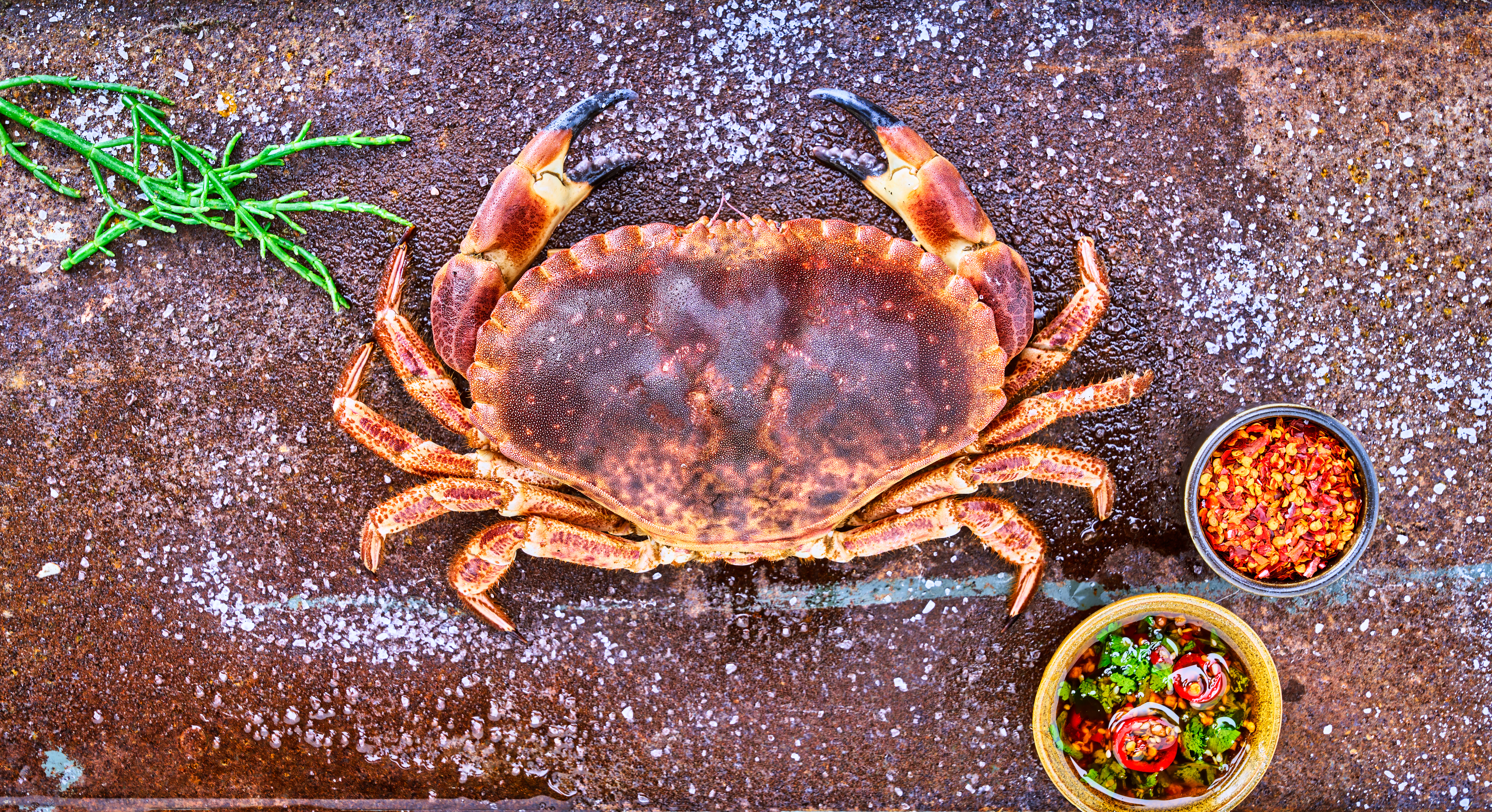 Crabe : bienfaits, aliment minceur, préparation, recettes | Santé Magazine