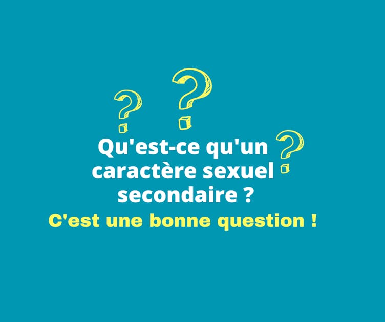 What Is A Secondary Sex Characteristic Thats A Good Question Archyde