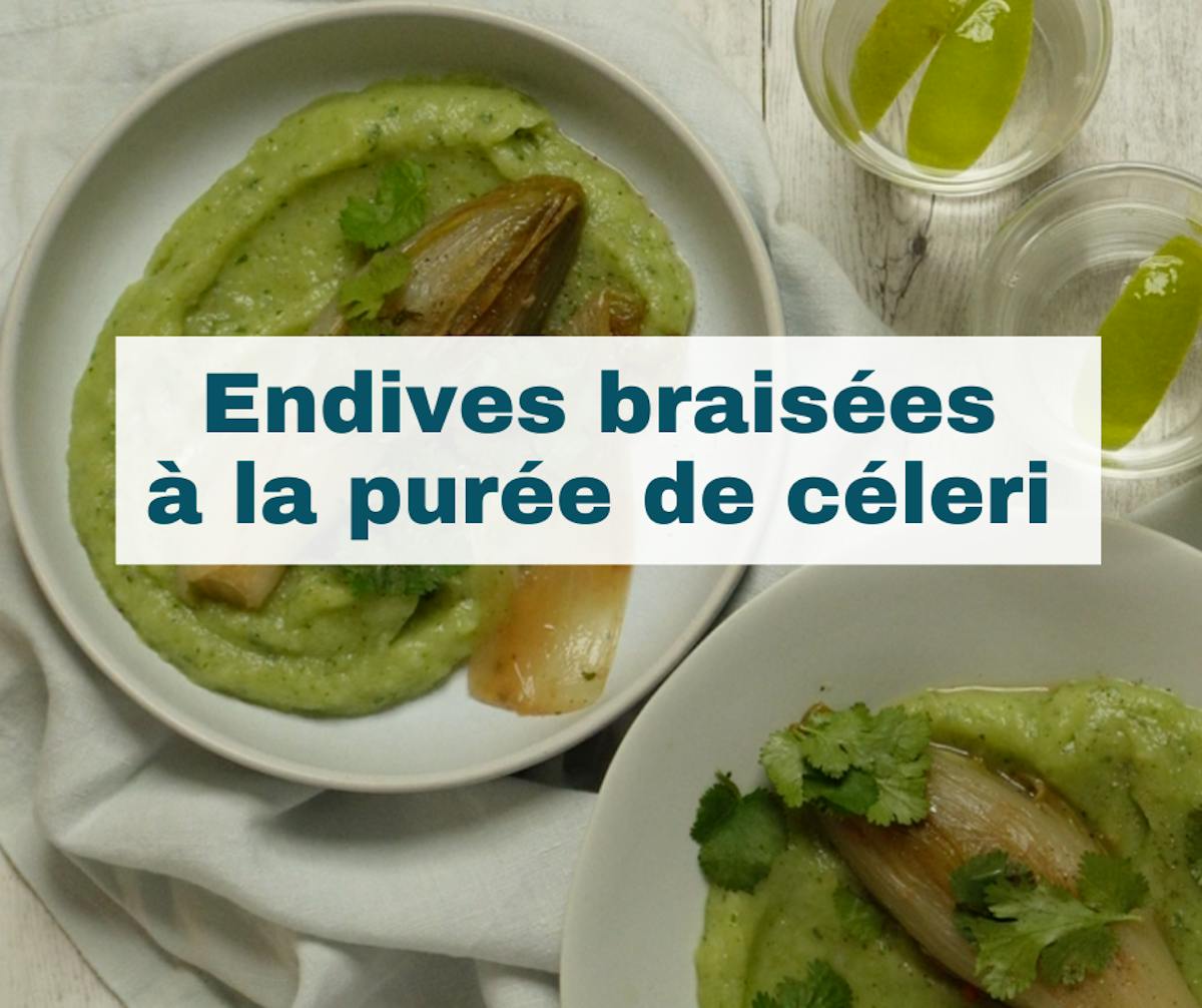 Recette Recette d'endive braisée à la purée de céleri | Santé Magazine