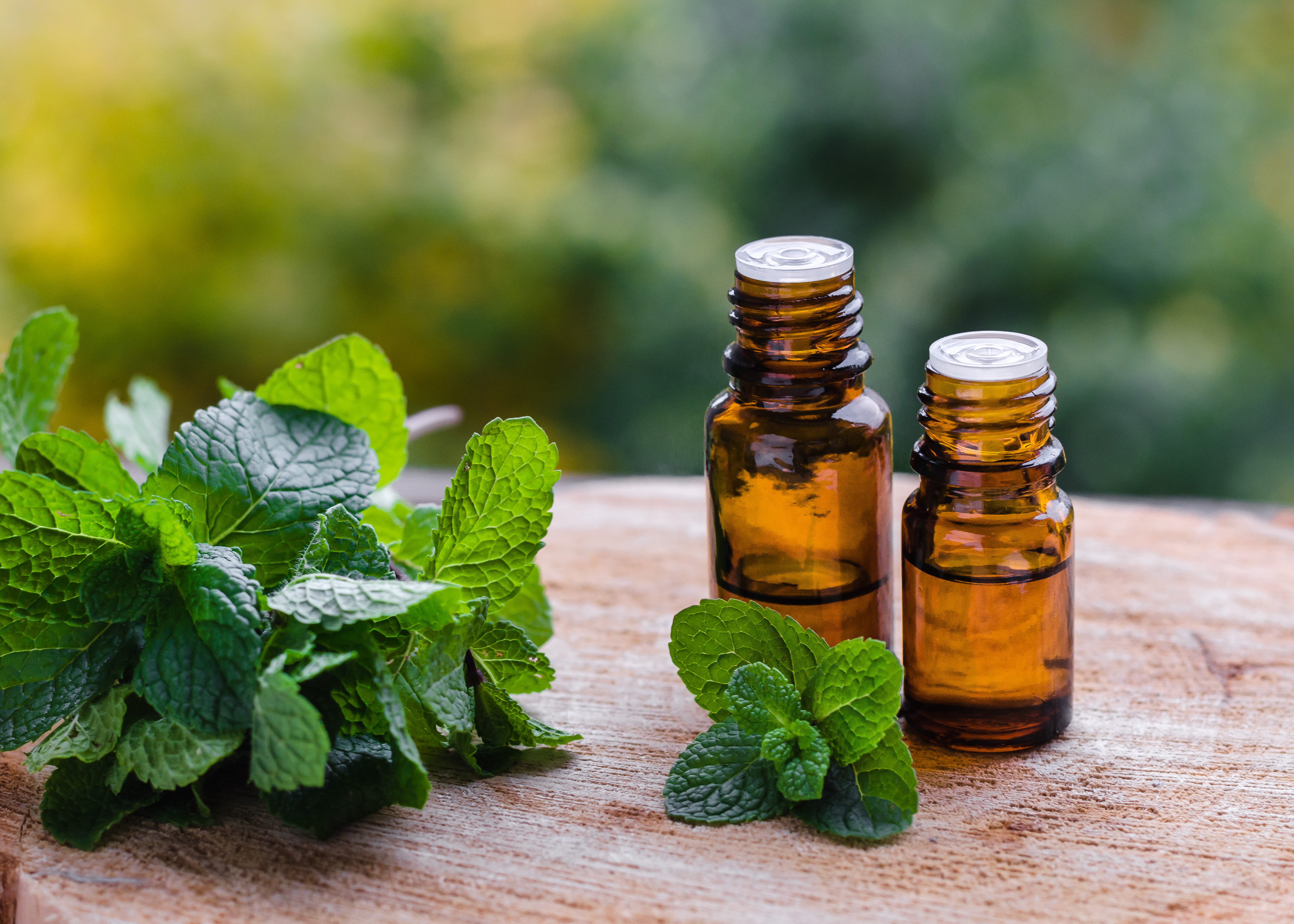 Huile essentielle de menthe poivrée (mentha piperita) | Santé Magazine