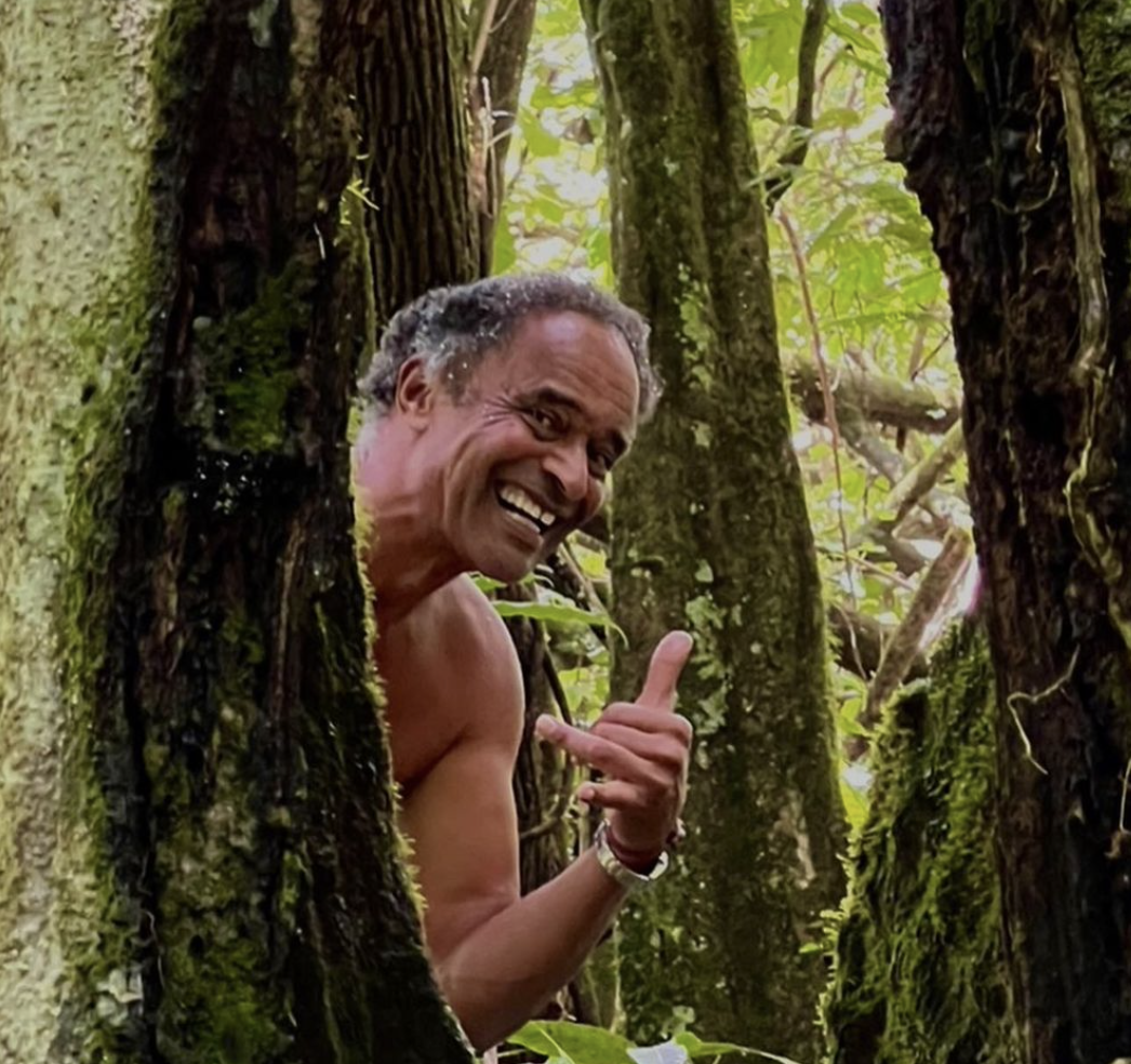 Yannick Noah in the midst of a malaria crisis – Archyde