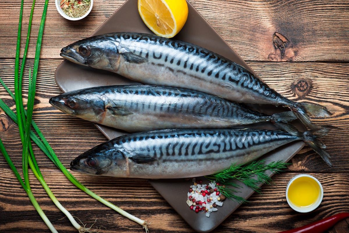 Maquereau : bienfaits, riche en oméga-3, recettes | Santé Magazine