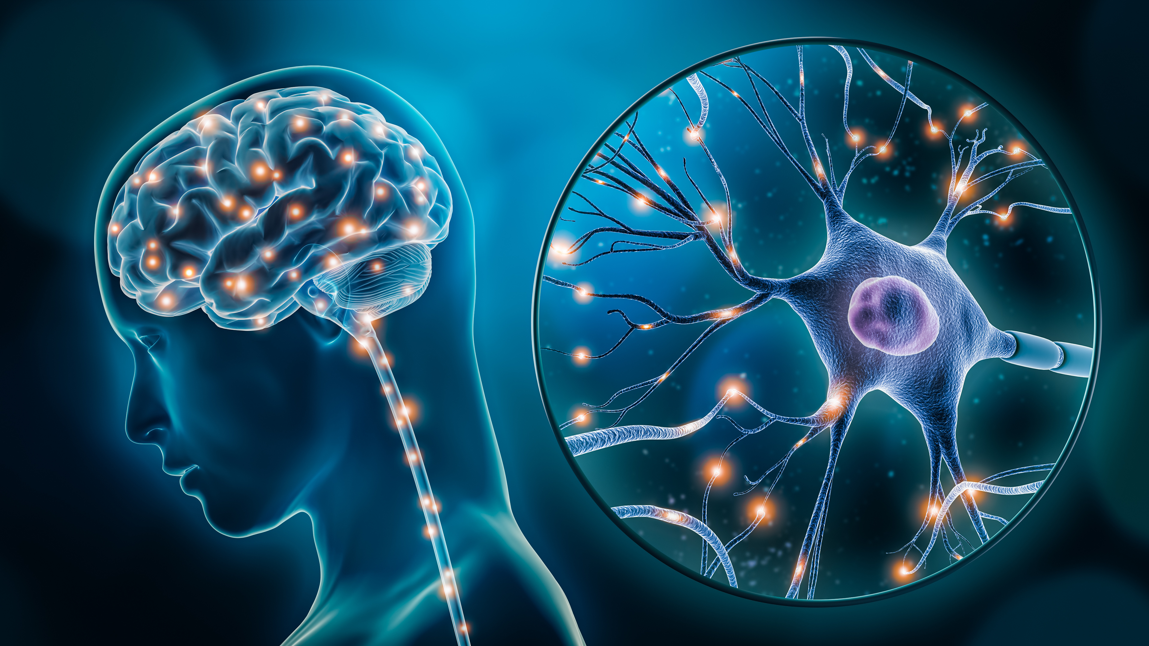 Neurotransmetteur : définition, rôle, maladies liées | Santé Magazine