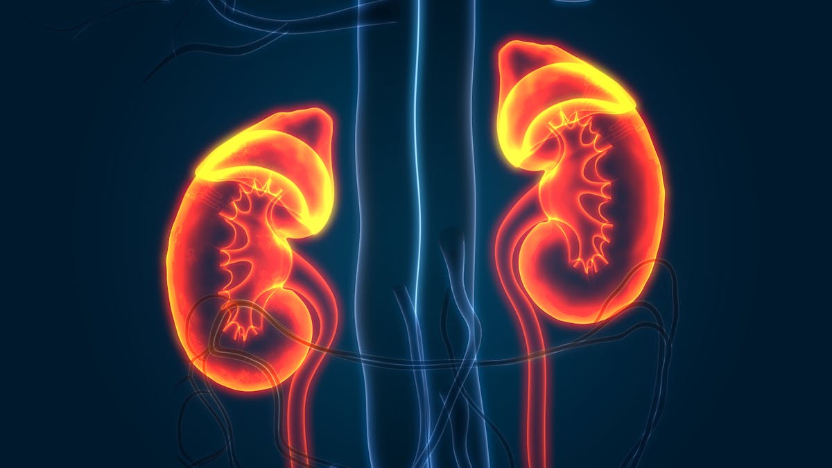 Urographie intraveineuse | Santé Magazine