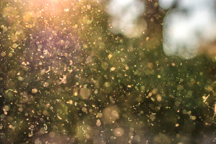 Dérèglement climatique et températures douces : le pollen déjà de ...