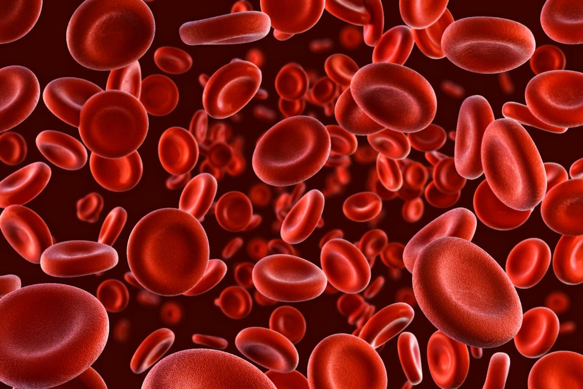 Globules rouges (hématies) : taux bas, élevé ? causes ? | Santé Magazine