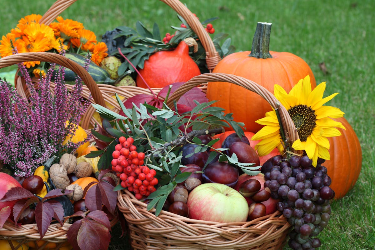 Fruits et légumes d’automne : les bienfaits de ces aliments santé ...