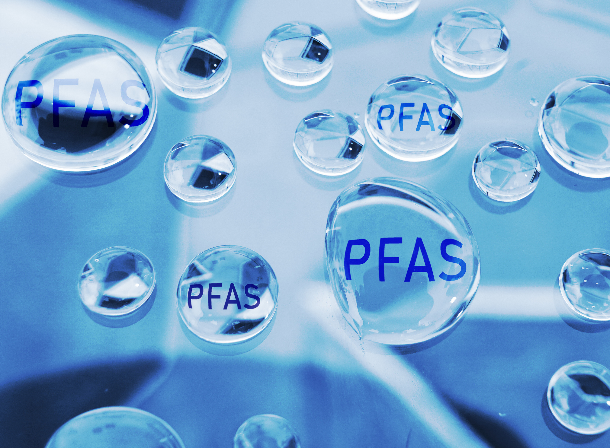 PFAS : des bactéries dévoreuses de polluants redonnent espoir | Santé Magazine
