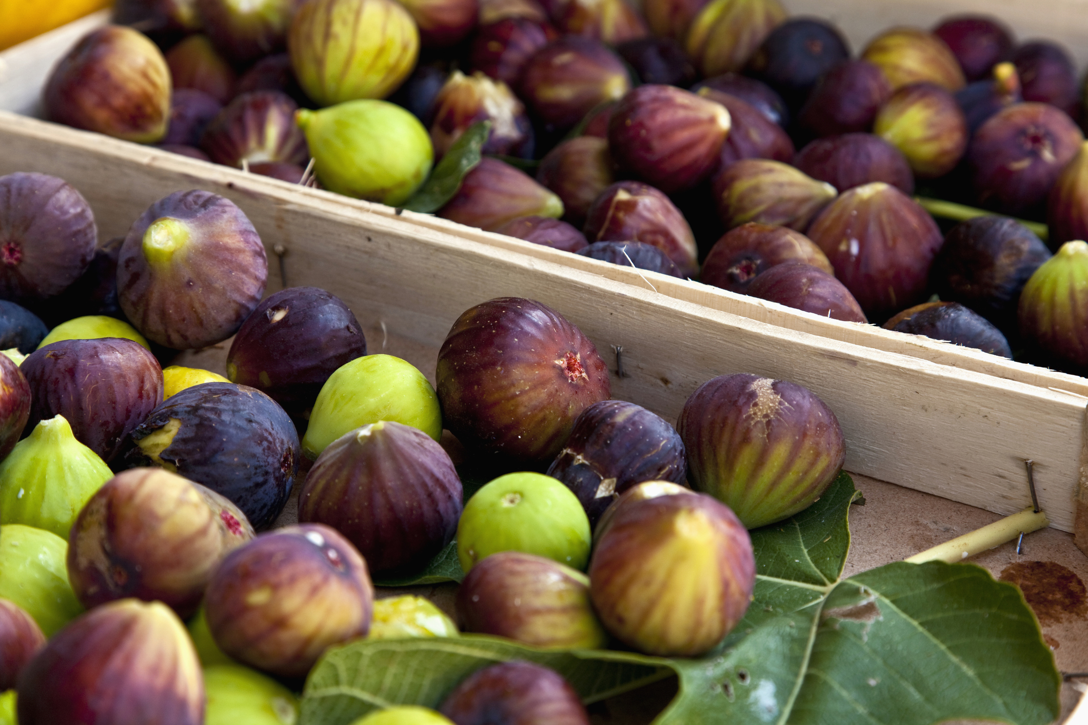 Comment conserver des figues fraîches plus longtemps ? | Santé Magazine